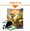 Cricket Media Magazines